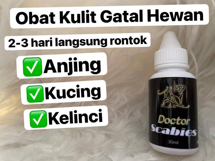 Jual Obat Scabies Kelinci Tetes Obat Tetes Scabies - Kota Malang ...