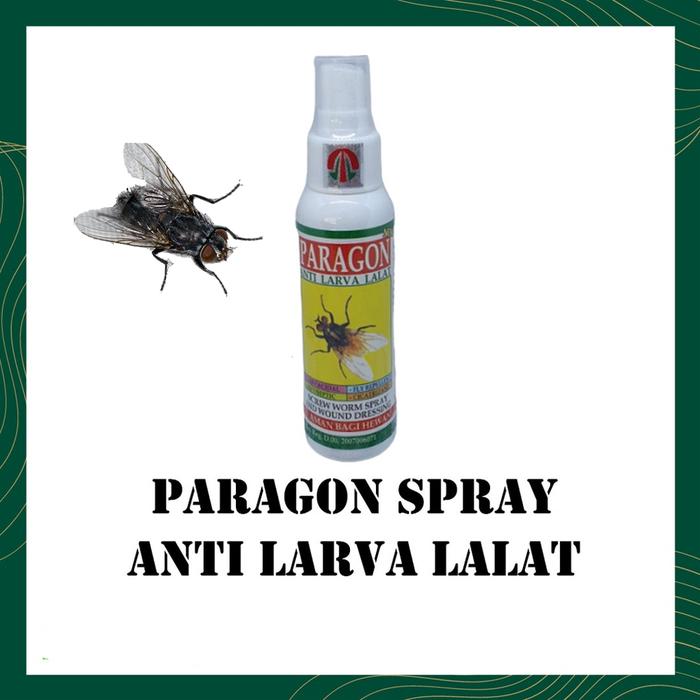 Jual Paragon Spray 120 ML Anti Larva Lalat Dan Antiseptik - Jakarta ...