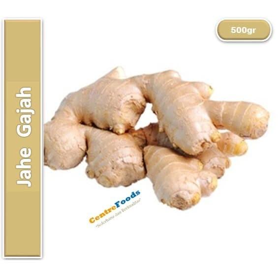 Jual Jahe Gajah Putih - Jahe Badak Fresh | 500gr [ Harga Per 0,5 Kg ...