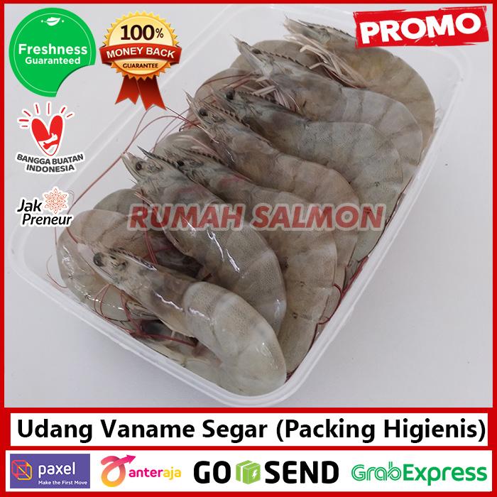 Jual Udang vaname 500 gr isi 35-45 / vannamei / udang segar tambak ...