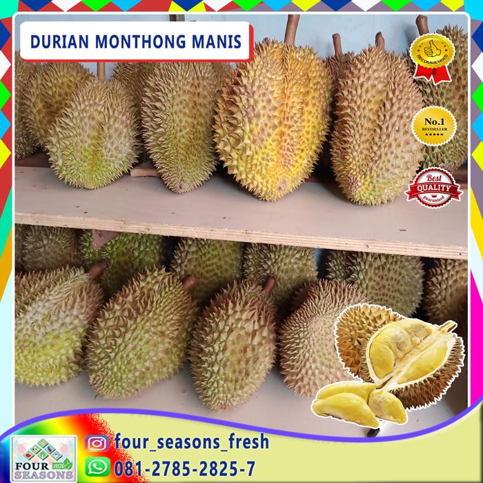 Jual TERBAIK 1 BIJI DURIAN MONTONG PALU MANIS DAGING TEBAL LEMBUT - Kota Surabaya - FOUR SEASONS ...