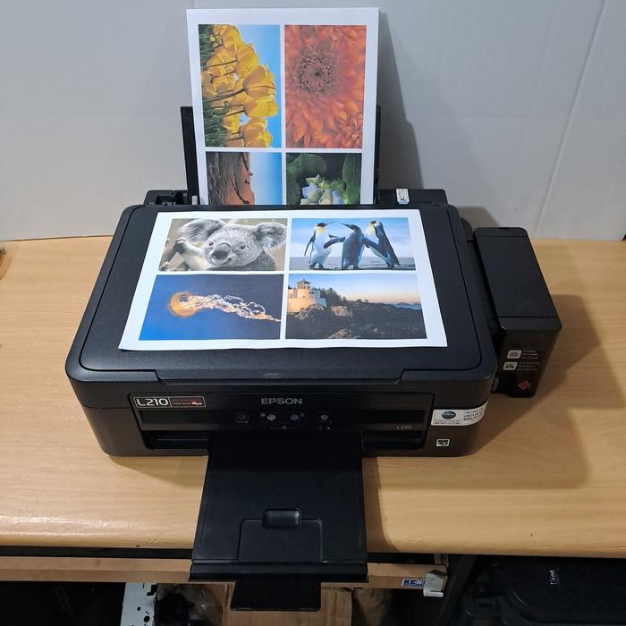 Jual printer bekas pakai epson L210 print scan copy - Jakarta Pusat ...