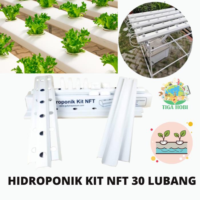 Jual HIDROPONIK KIT NFT GULLY TRAPESIUM paket berkebun lengkap 30 lubang ne - Kota Semarang ...
