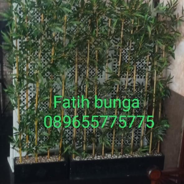 Jual POHON BAMBU PARTISI/BAMBU PENYEKAT/BAMBU ARTIFICIAL/TANAMAN ...