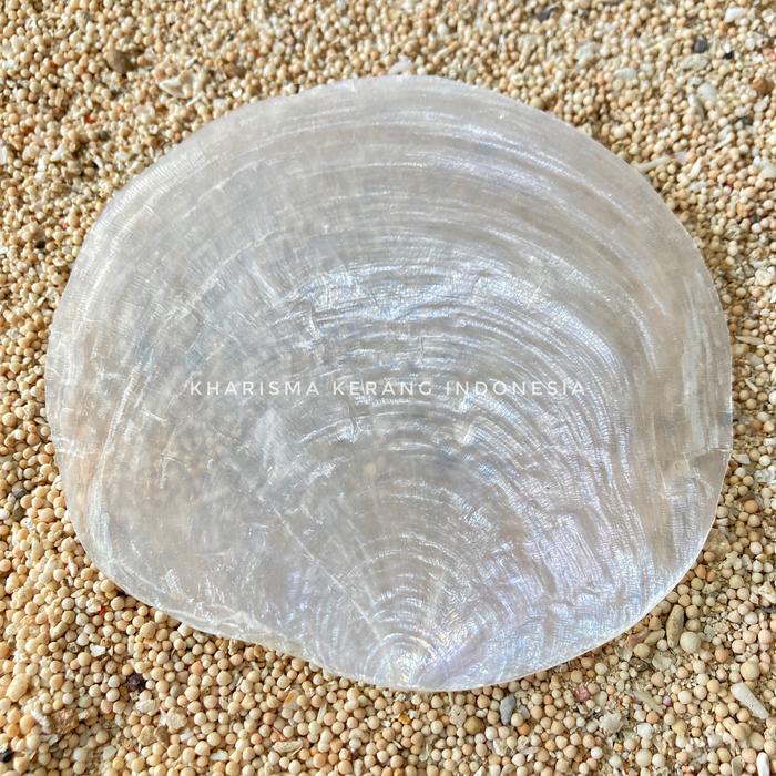 Jual Capiz Shell Origin L (Windowpane Oyster) Pearl Type by Kharisma ...