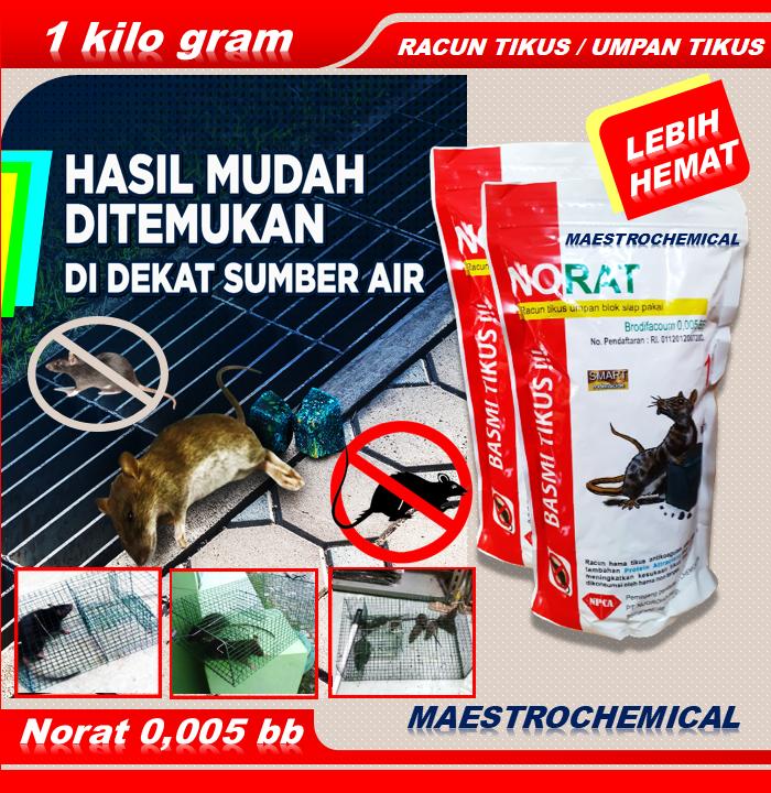 Jual NORAT brodifacoum @ 1 KG ( racun tikus ) - Kota Tangerang ...