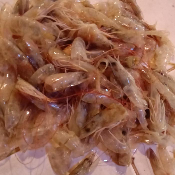 Jual kepala udang campur kulit 1000gram - Jakarta Barat - Samudrapasar ...