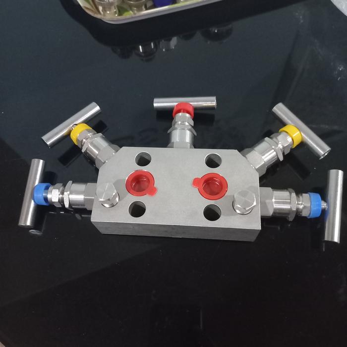 Jual 5-way Manifold Coplanar SS316 - Kota Depok - lapakcablegland ...