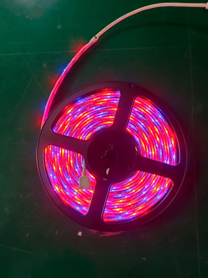 Jual STRIP LED RGB 3528 12V IP55 SILICON OUTDOOR HILED - Kota Tangerang ...