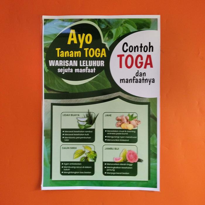 Jual Poster Kesehatan - Poster Toga - Poster Tanaman Obat Keluarga ...