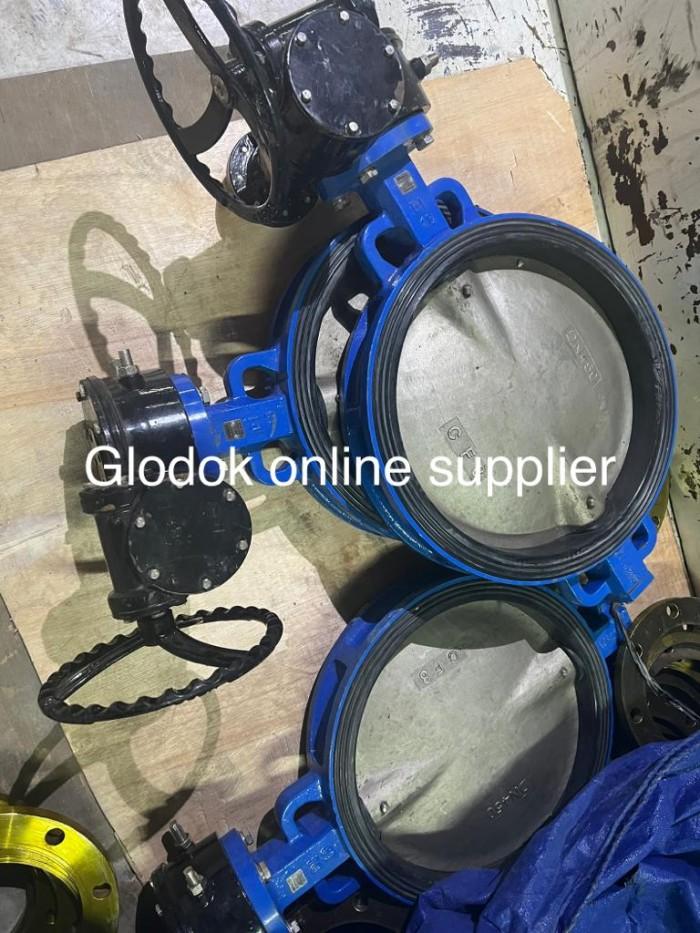 Jual Butterfly Valve Cast iron body, disc ss304 jis 10k gear op 12 ...
