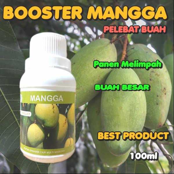 Jual Pupuk Semprot/Cair Booster Mangga Organik Agar Cepat Berbuah Lebat - Kab. Bantul - PETANI ...