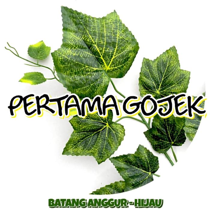 Jual Daun Rambat Plastik/Bunga Plastik/Rumput Plastik/Batang Anggur ...