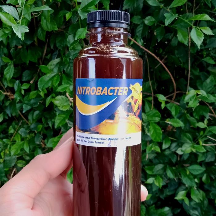 Promo Nitrobacter ORIGINAL Probiotik Kolam KOI 250 ml - 1 Ltr - Kota ...