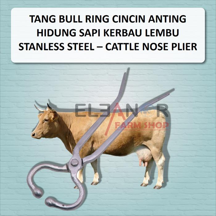 Promo Tang Penjepit Hidung Sapi Bull Ring Cincin Anting Hidung Sapi ...