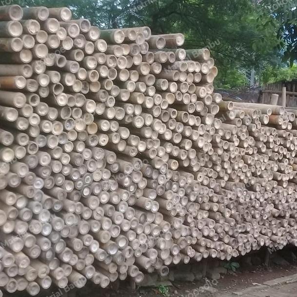Jual Bambu Untuk Steger Proyek - Jakarta Selatan - Matrial Bambu ...