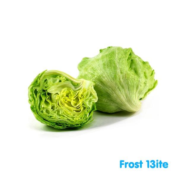 Jual Selada Bokor / Kaca / Lotus / Crisphead / Iceberg Lettuce - 1kg ...