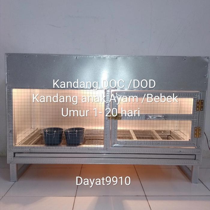 Kandang Doc Ayam Kampung