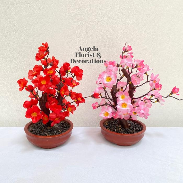 Jual Pohon Meihua Sakura Imlek | Pot Meihua Hiasan Imlek | Bunga Sakura ...