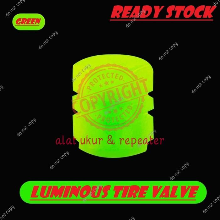 Jual Tutup Pentil Ban Mobil Motor Sepeda Glow In The Dark Luminous NEON ...