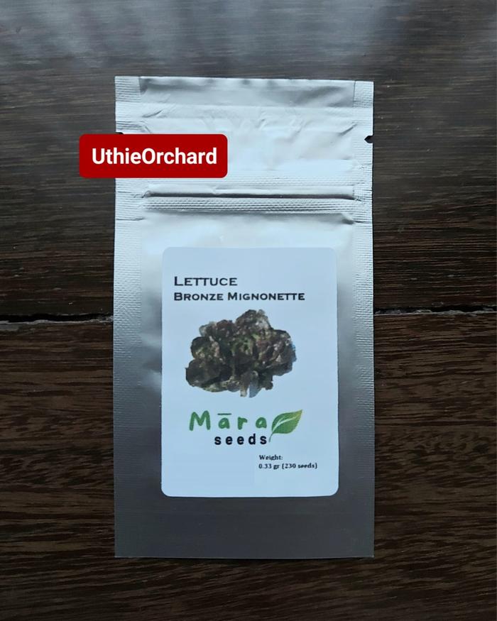 Jual Mara Seeds - Lettuce (Selada) Butterhead Bronze Mignonette (230 ...