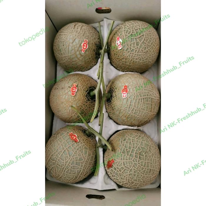 Jual Melon Jepang Miyazaki Red Musk Melon | Hokaido | Kumamoto | Yubari ...