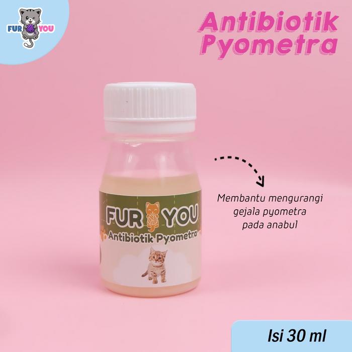 Jual Antibiotik Pyometra pada kucing - Jakarta Selatan - FURYOU ...