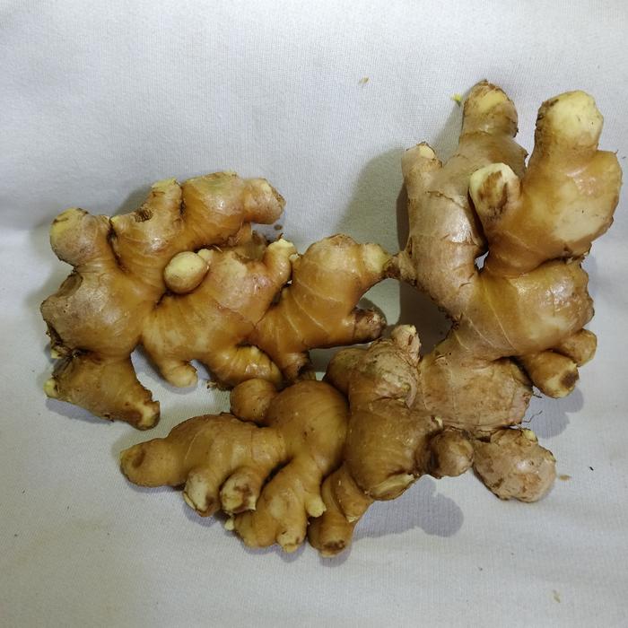Jual Jahe Gajah Putih / Jahe Biasa Fresh 1 Kg Sudah Bersih - Kota ...