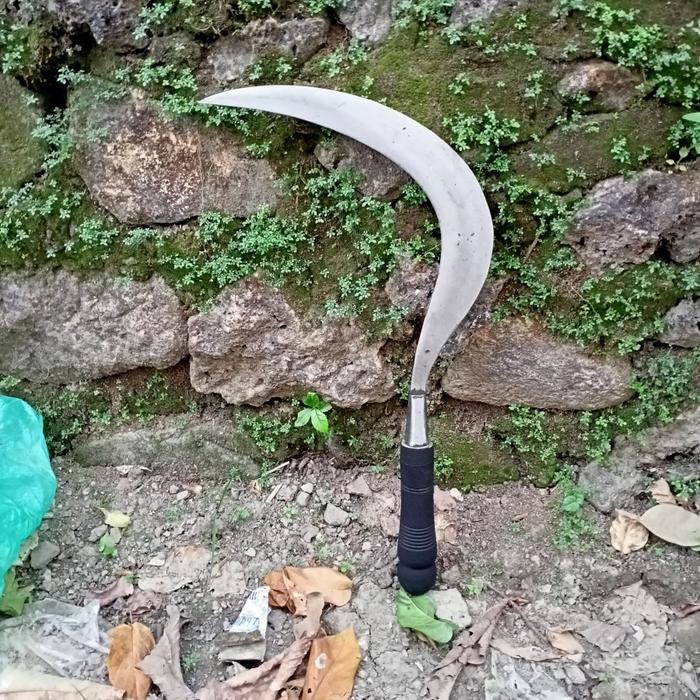Jual arit rumput sabit baja per MADURA Asli - Super Tajam - Kab. Demak ...
