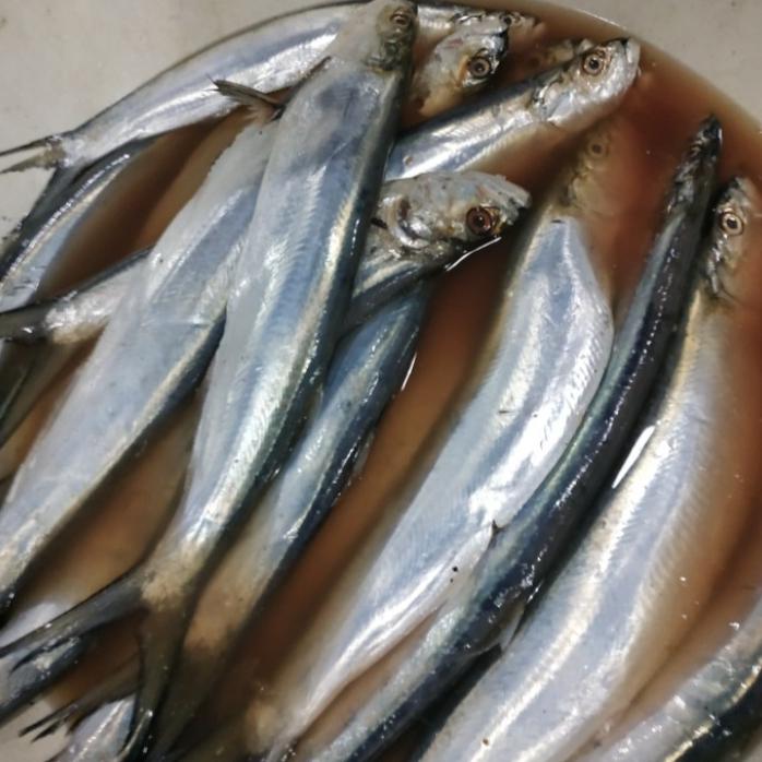 Jual Ikan Parang Parang Segar 1 kg - Kota Bandung - Rumbo Sayur | Tokopedia