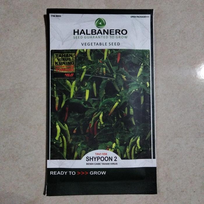 Jual Bibit Cabe Rawit SHYPOON 2 - Benih Cabai Shypon shipon sypon sipon ...