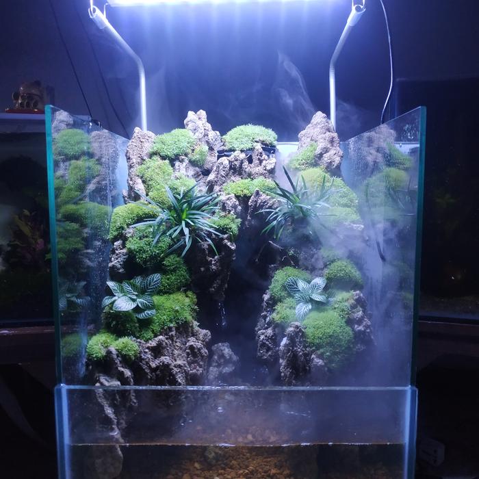 Jual aquascape paludarium mini simple tebing - Kota Surabaya - pickup ...