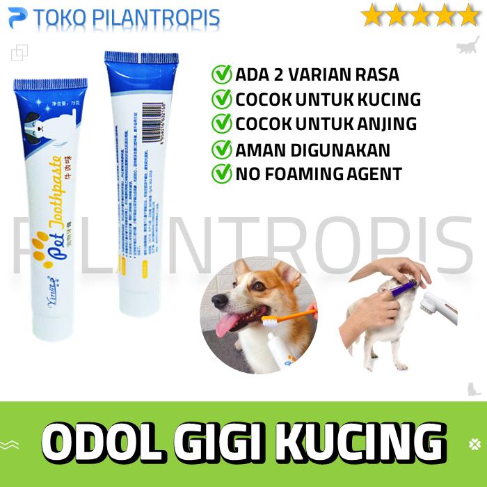 Promo SIKAT GIGI KUCING DAN ODOL PASTA GIGI KUCING ANJING PET DENTAL ...