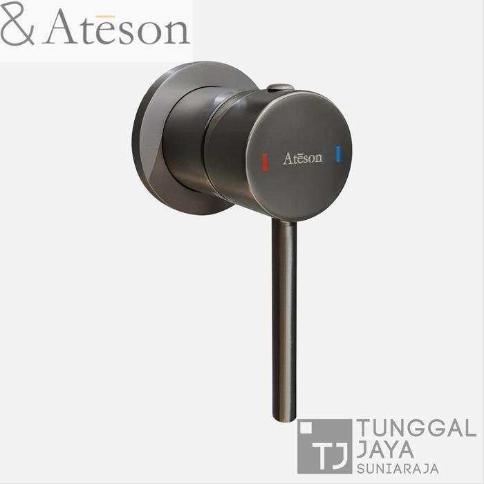 Jual ATESON Banyan Wall Mount Mixer Brushed Gunmetal AT121BGM - Kota ...