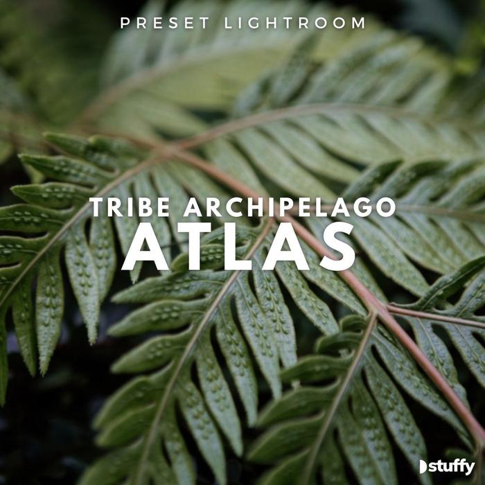 Jual Premium LR Preset - Tribe Archipelago Atlas Untuk Android IOS PC - Kota Denpasar - diubud ...