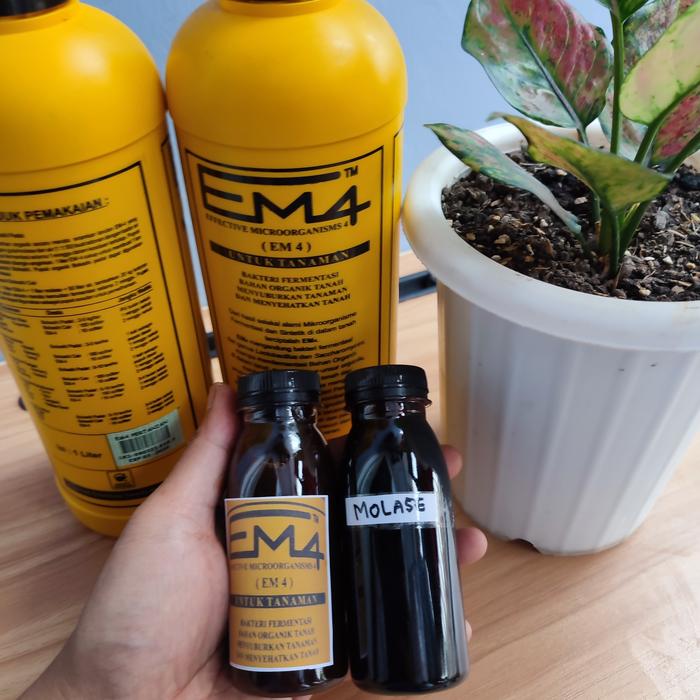 Jual em4 pertanian paket em4+ molase repack 100ml - Jakarta Timur ...