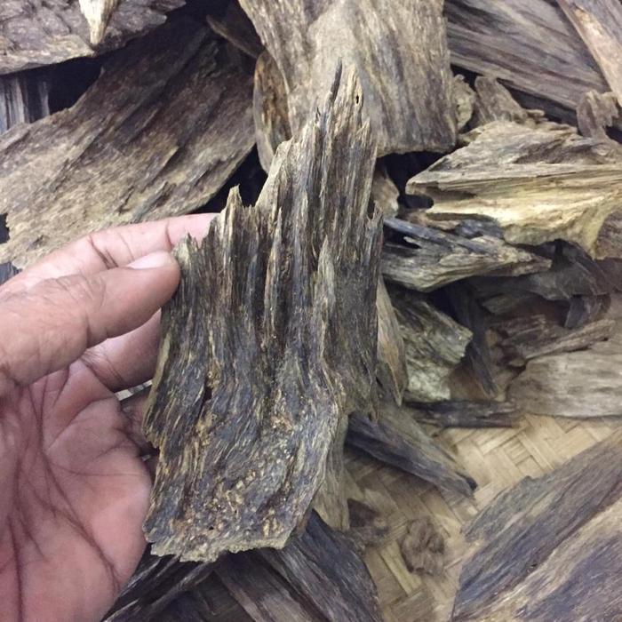 Jual Kayu Gaharu Asli Chips Triple Super King Original 1kg - Kalimantan ...