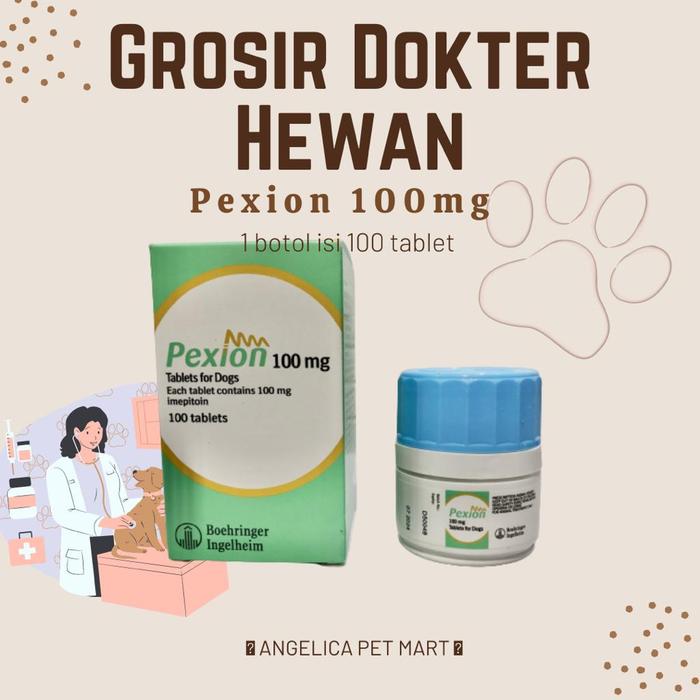 Jual Grosir Dokter Hewan Pexion 100mg 1 Botol isi 100 Tablet - Kota Semarang - Angelica Pet Mart ...