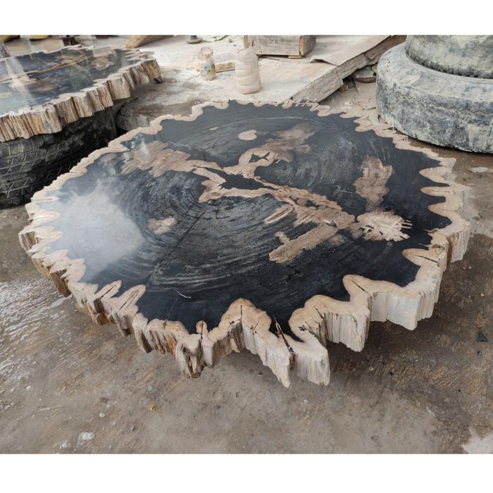 Jual Daun meja batu alam fosil kayu hitam natural petrified wood D.80 ...