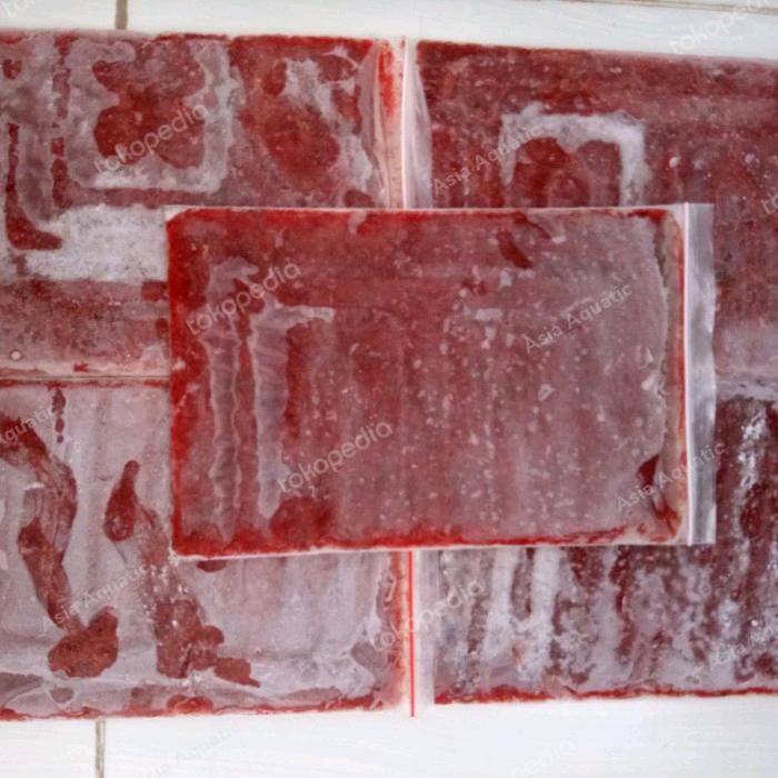 Jual cacing beku cabek 1kg pakan cacing darah bloodworn - Kota ...