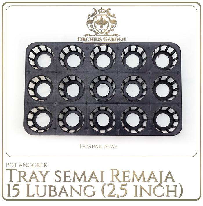 Jual ORCHIDSGARDEN Tray Pot Bening Semai Anggrek Remaja 2.5 inch 15 ...