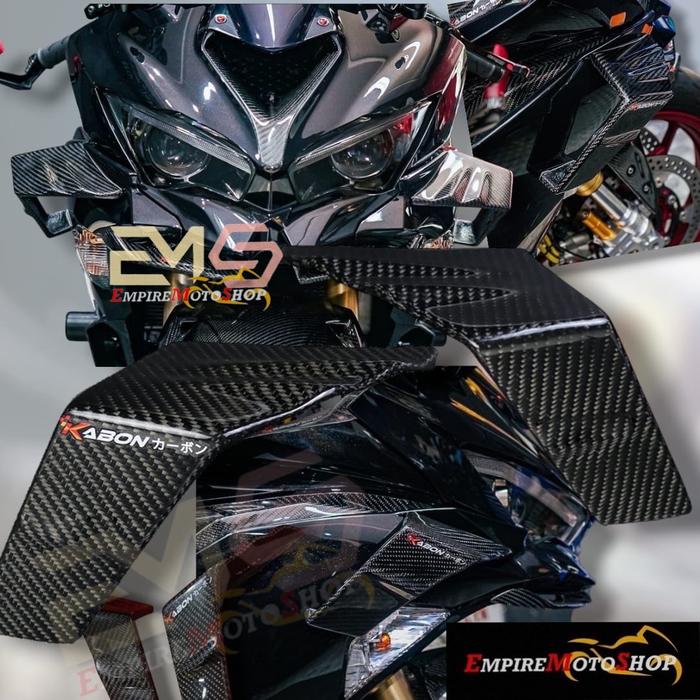 Jual Kabon Side Winglet ZX25R ZX 25 R ZX 25R Model BMW Carbon Sayap ...