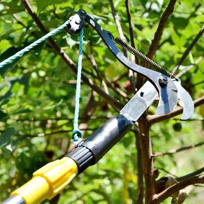 Jual Gunting Dahan Ranting Batang Tanaman Bunga Tajam Multifungsi ...