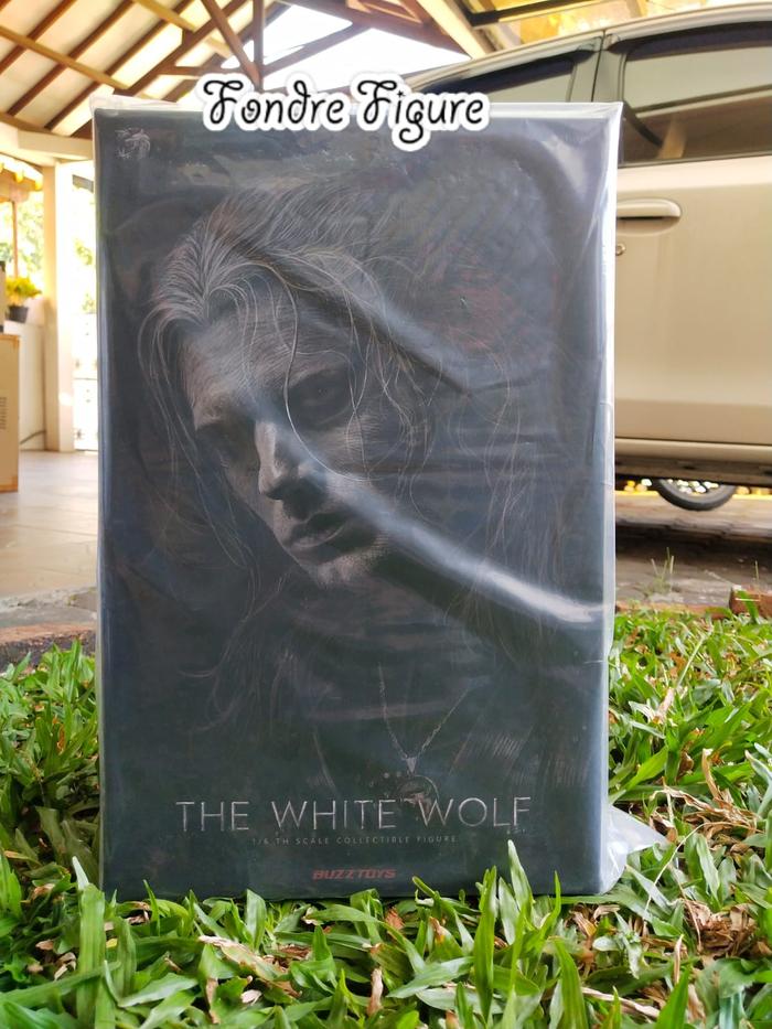 Jual ORIGINAL BUZZ TOYS THE WHITE WOLF WITCHER GERALT OF RIVIA BZT001 1 ...