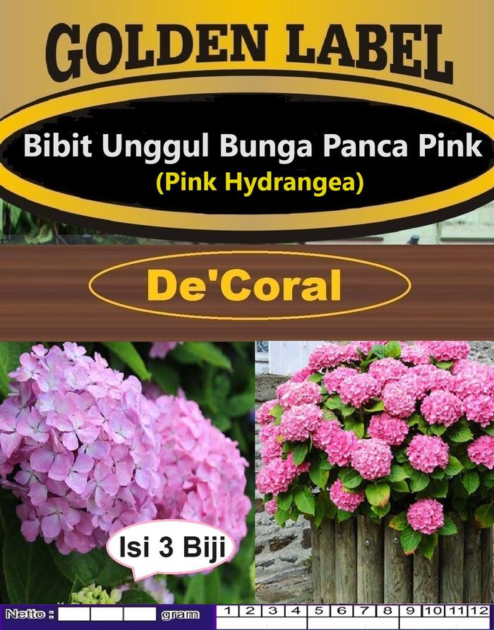 Jual Bibit Unggul Bunga Pancawarna Pink | Pink Hydrangea | Bunga Bokor ...