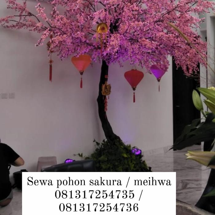 Jual sewa pohon mehwa dekorasi rental pohon mapple sakura cherry ...