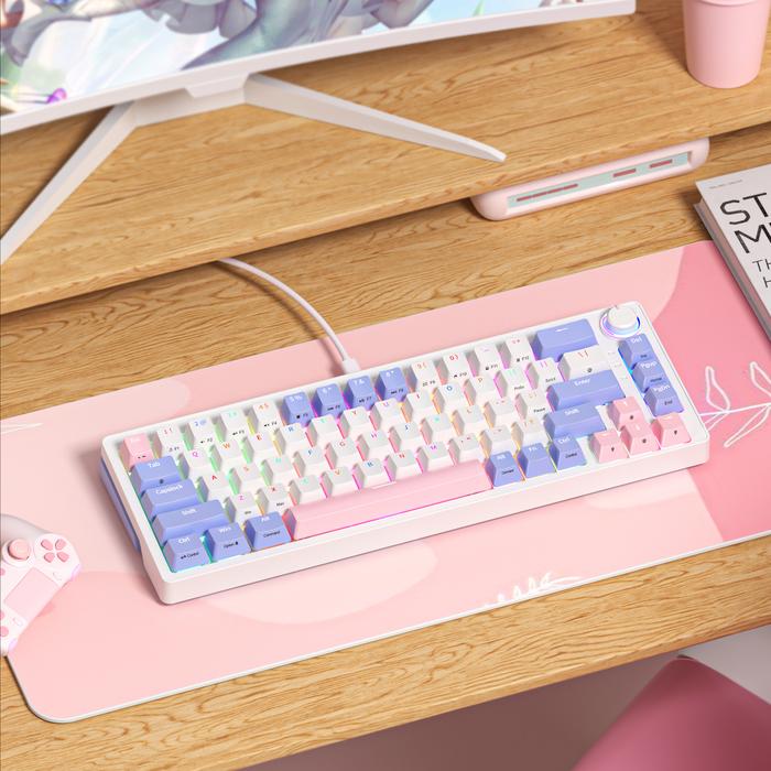 Jual ZIFRIEND ZA68 Mechanical Gaming Keyboard 68 Keys 5pin Hotswap RGB ...