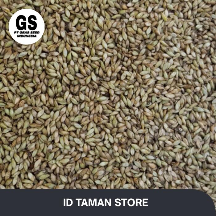 Promo benih rumput brachiaria Humidicola / Decumbens / Hybrid ...