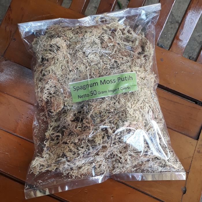 Jual spagnum moss putih, moss anggrek, moss 50 gram, media tanam ...