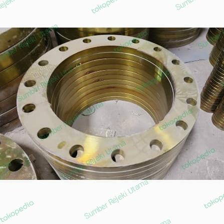 Jual Flange Besi JIS 10K 12" inch ( DN 300 ) Flange JIS 10K CS ...